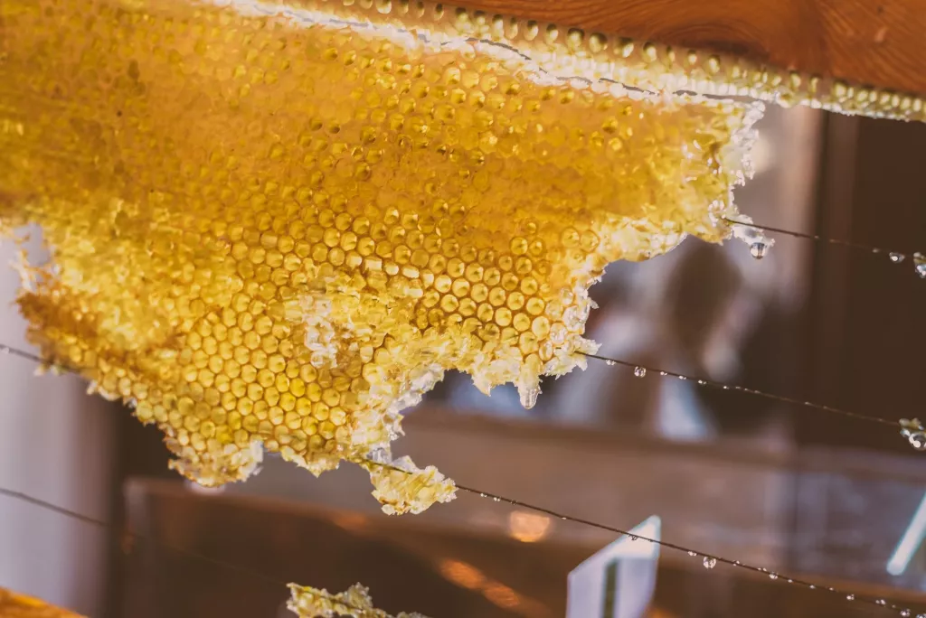 How Much Honey Does A Bee Make (per Day, Year & Lifetime) - 🐝 BootstrapBee.com - Actionable ...