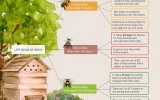 25 Interesting Facts About Bees You Probably Don't Know - 🐝 BootstrapBee.com - Actionable ...