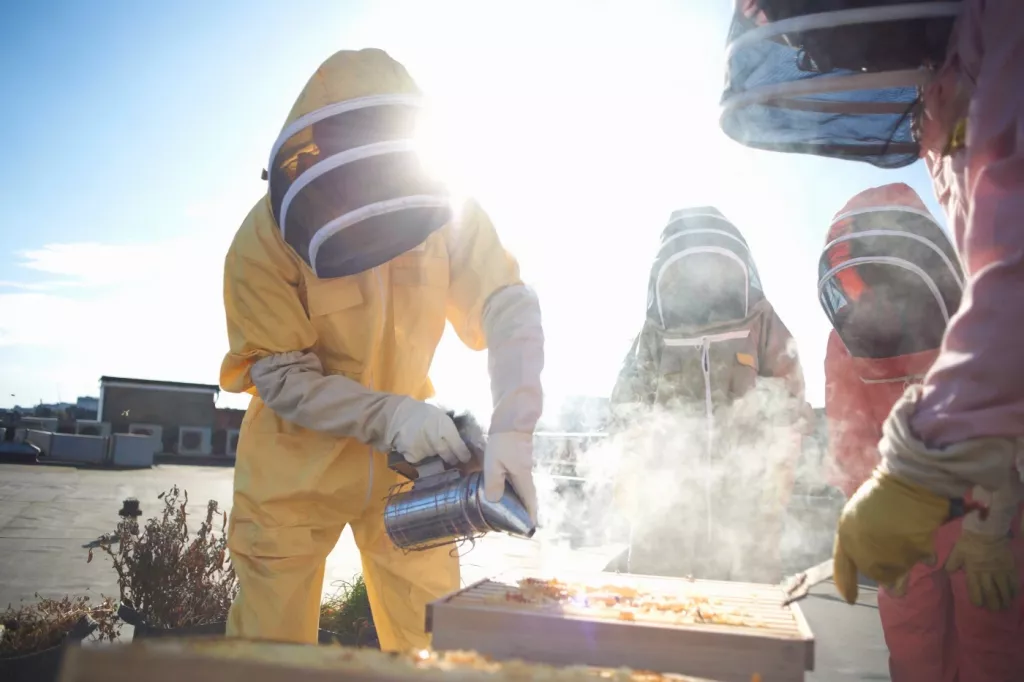 What Temperature is Too Hot for Honey Bees? - 🐝 BootstrapBee.com ...