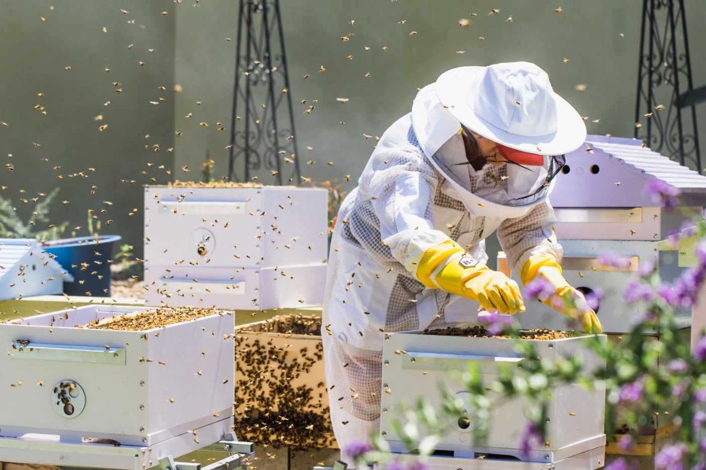 What Time Of Day Are Bees Most Aggressive? - 🐝 BootstrapBee.com - Actionable bootstrapping guides