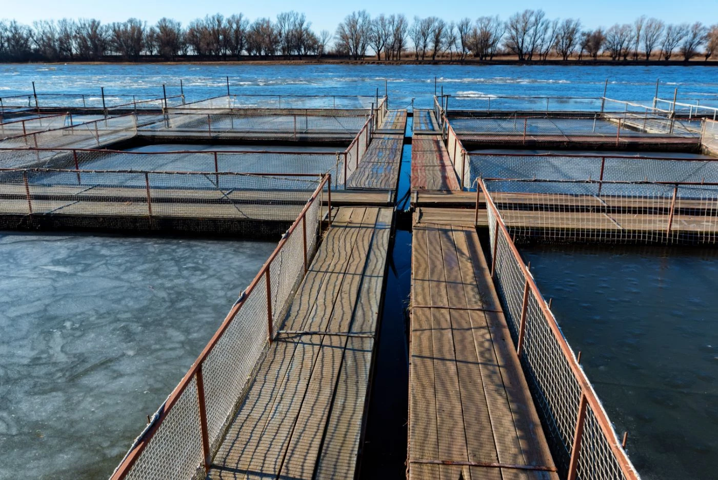 Modern Fish Farming Techniques: 7 Insider Tricks - 🐝 BootstrapBee.com ...