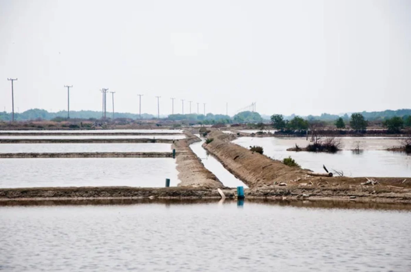 The 3 Most Common Types of Earthen Ponds Explained - 🐝 BootstrapBee.com ...