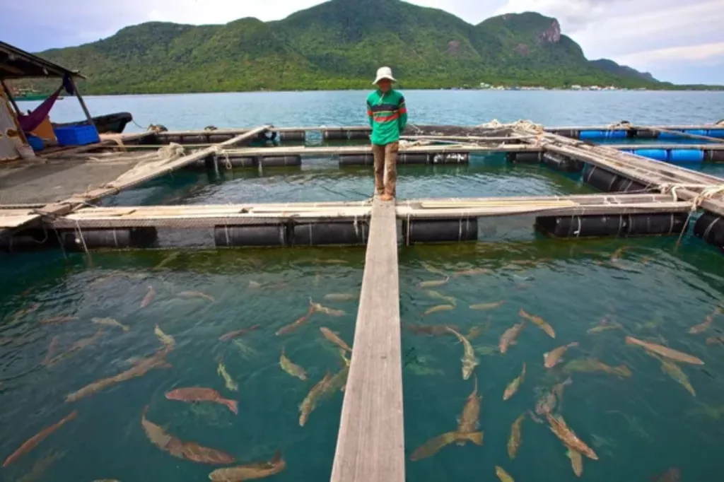The Fastest Growing Fish for Farming (with 13 Examples) - 🐝 ...