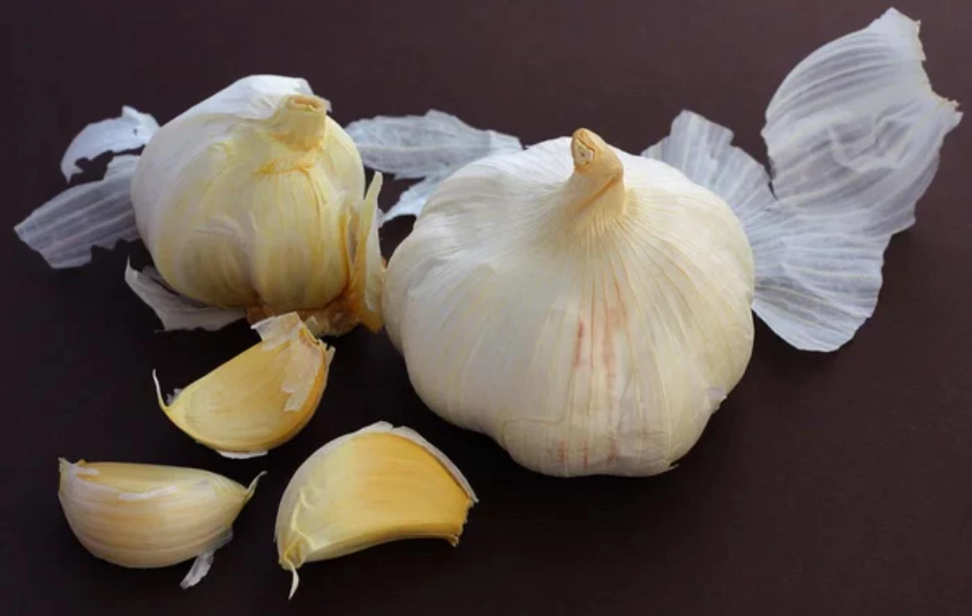 5 Most Lucrative Garlic Varieties to Grow for Maximum Profit - 🐝 ...