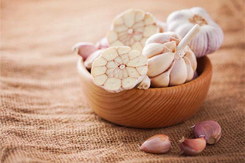 11 Most Common Types of Garlic Plants (With Pictures) - 🐝 BootstrapBee ...