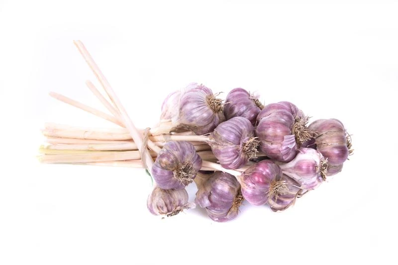 11 Most Common Types of Garlic Plants (With Pictures) - 🐝 BootstrapBee ...