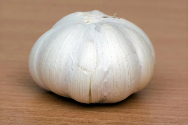 11 Most Common Types of Garlic Plants (With Pictures) - 🐝 BootstrapBee ...