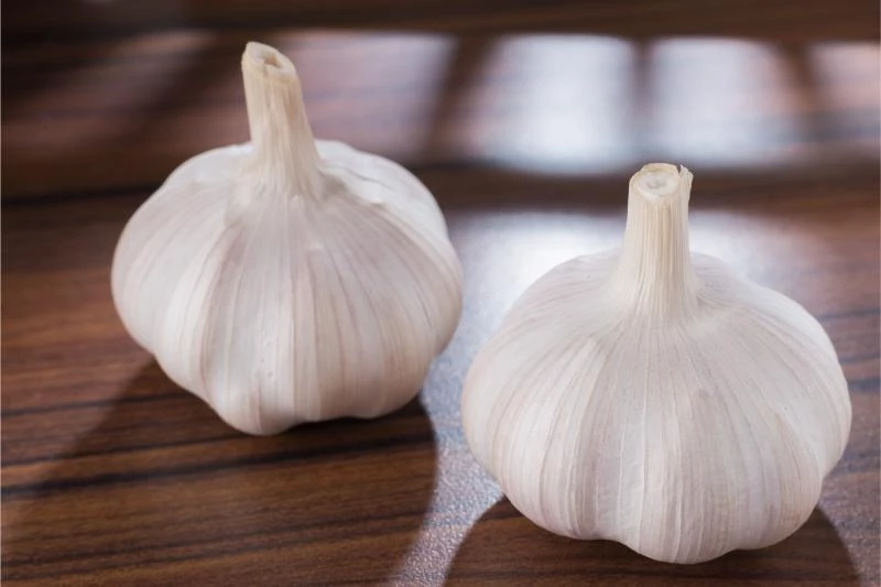 11 Most Common Types of Garlic Plants (With Pictures) - 🐝 BootstrapBee ...