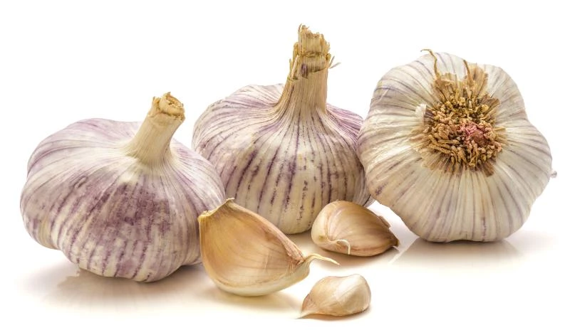 11 Most Common Types of Garlic Plants (With Pictures) - 🐝 BootstrapBee ...