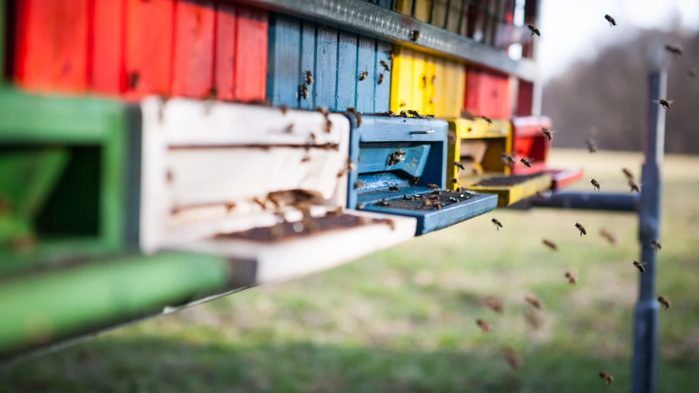 How Much Do You Save With an Ag Exemption in Texas? - 🐝 BootstrapBee ...