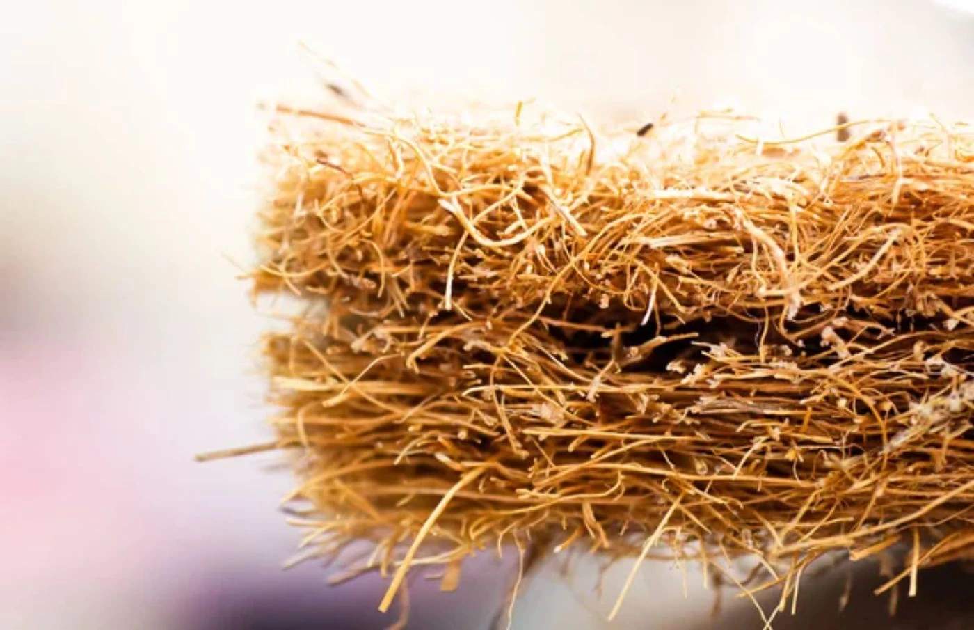 7 Tips to Fruit Monotub More Quickly and Successfully - 🐝 BootstrapBee.com - Actionable ...