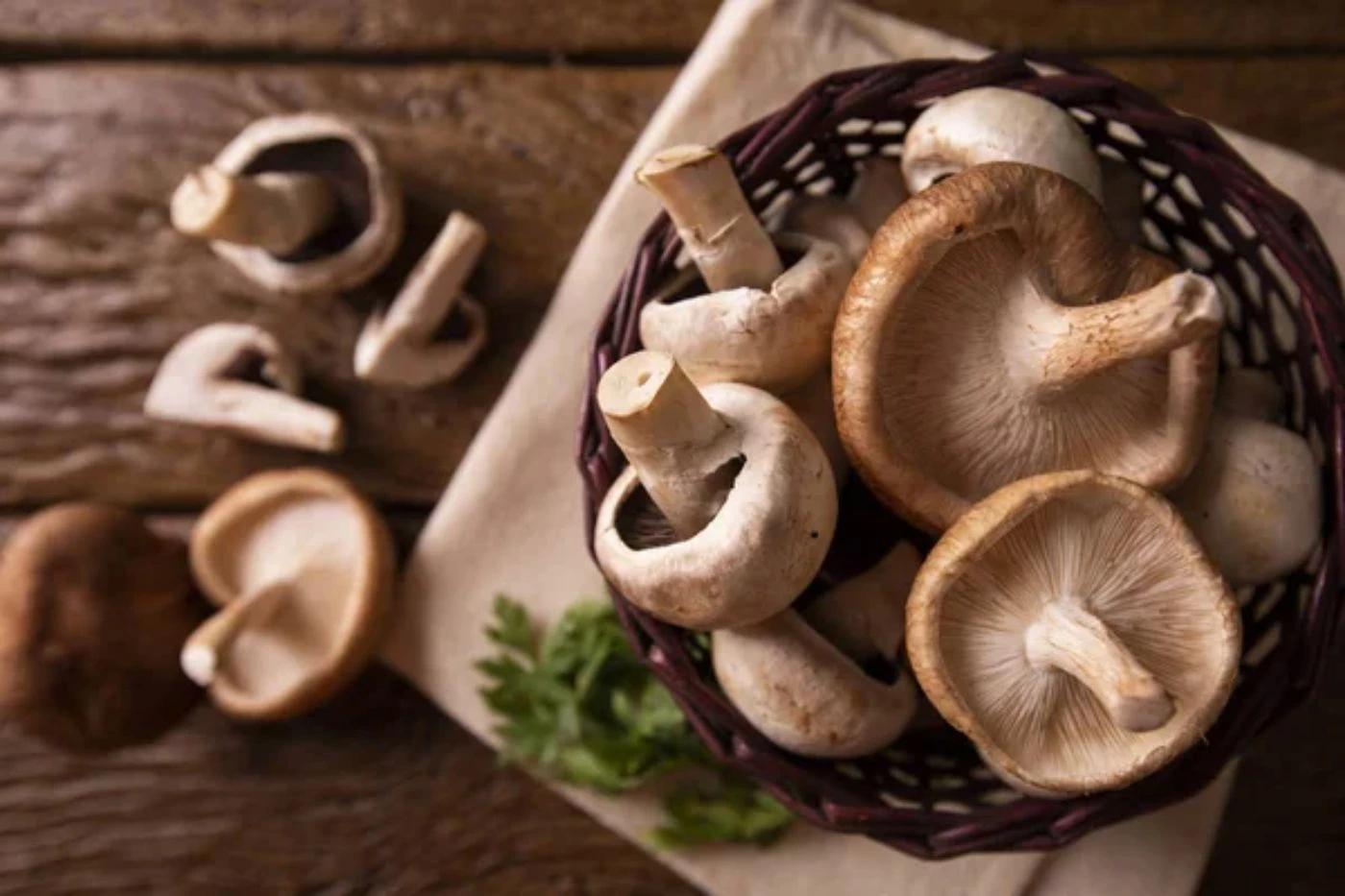 Is Mushroom Farming Profitable in the UK? (2023) - 🐝 BootstrapBee.com - Actionable bootstrapping ...