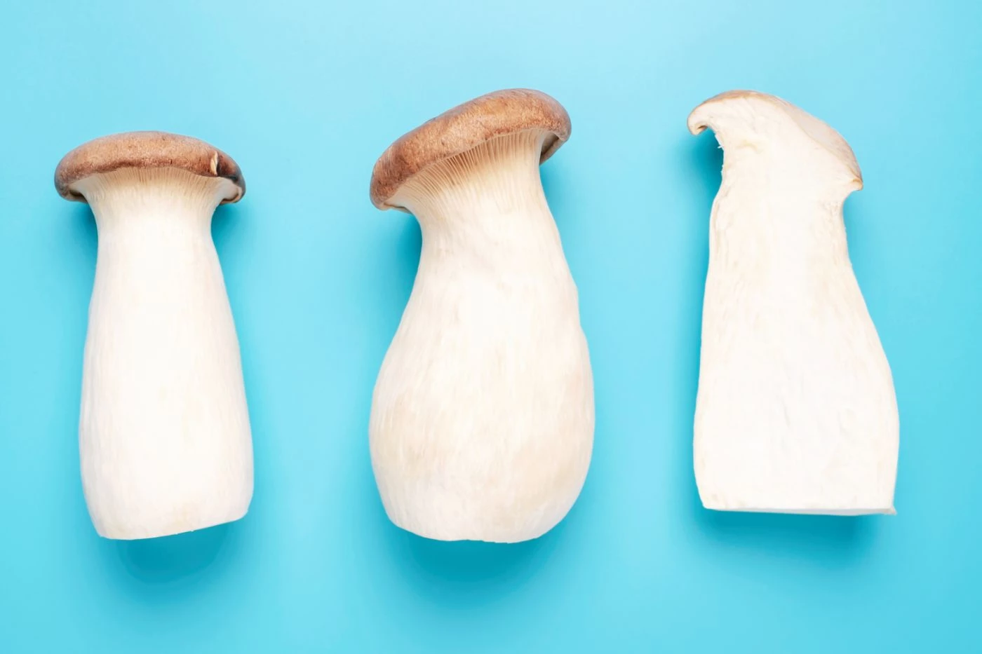 What's the Optimal King Oyster Fruiting Temperature? - 🐝 BootstrapBee.com - Actionable ...