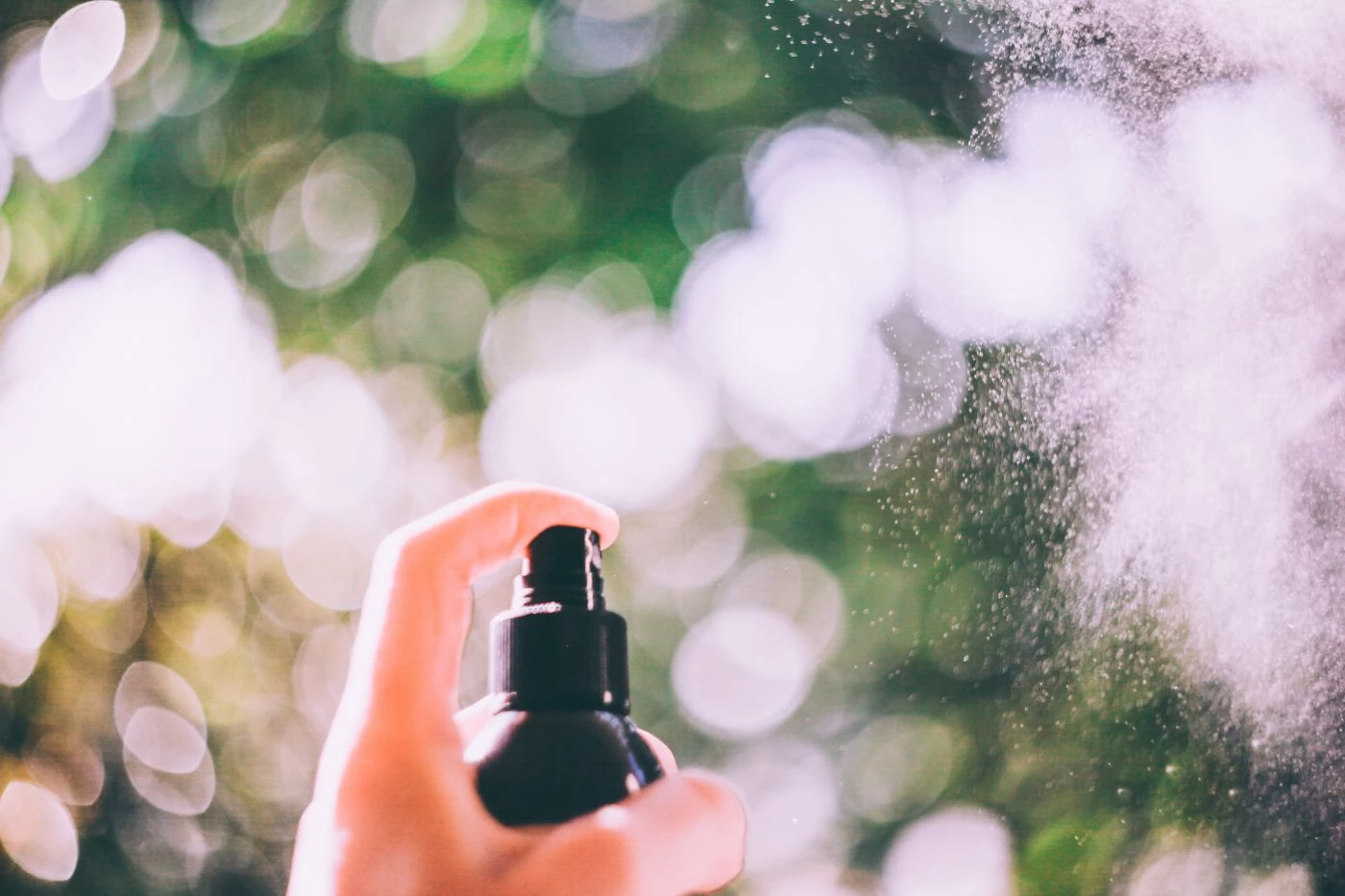 Oyster Mushroom Turning Yellow: Try This Easy Fix - 🐝 BootstrapBee.com - Actionable ...