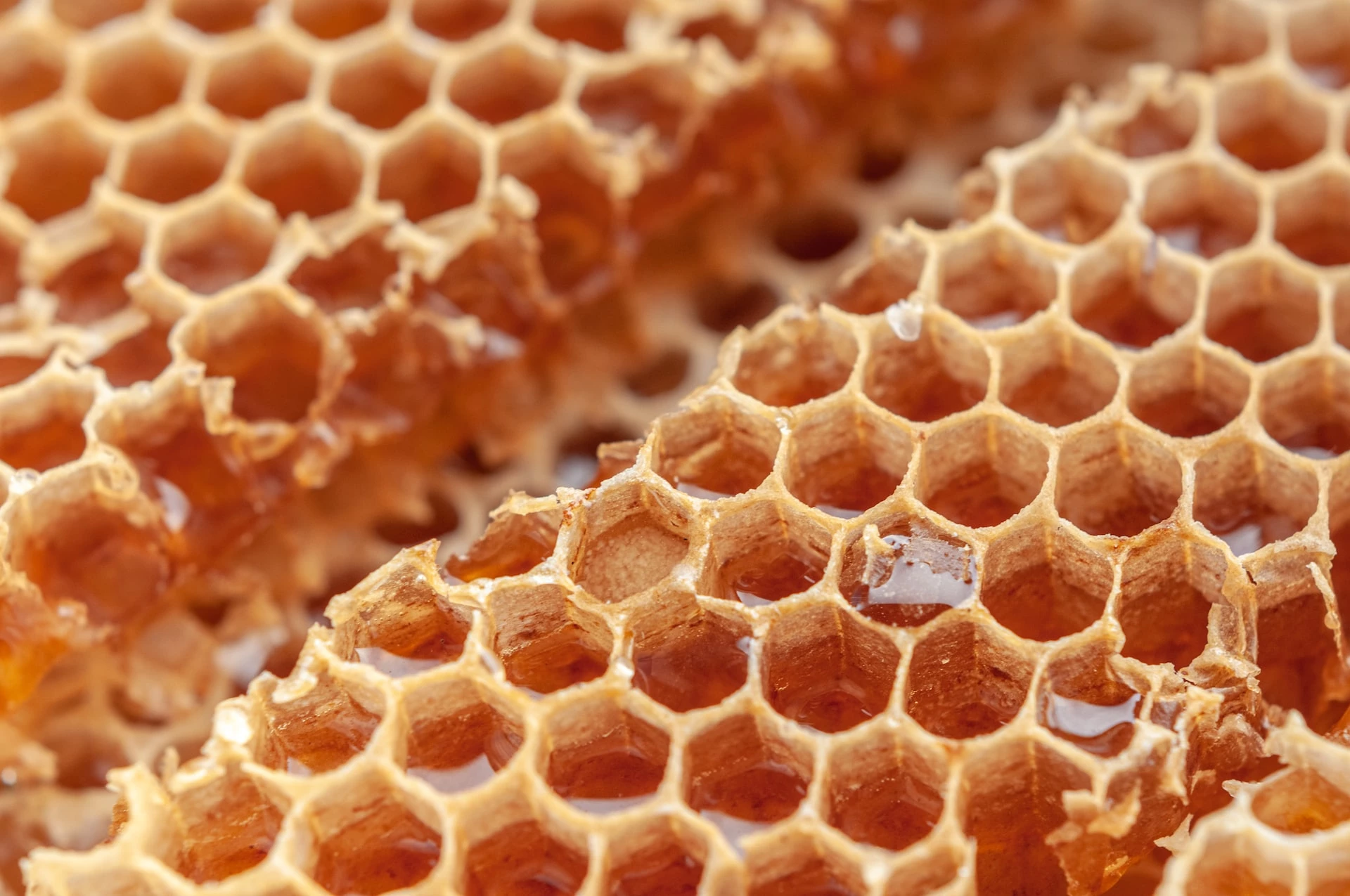 Average Honey Production Per Hive Per U.S. State (Full Guide) - 🐝 ...