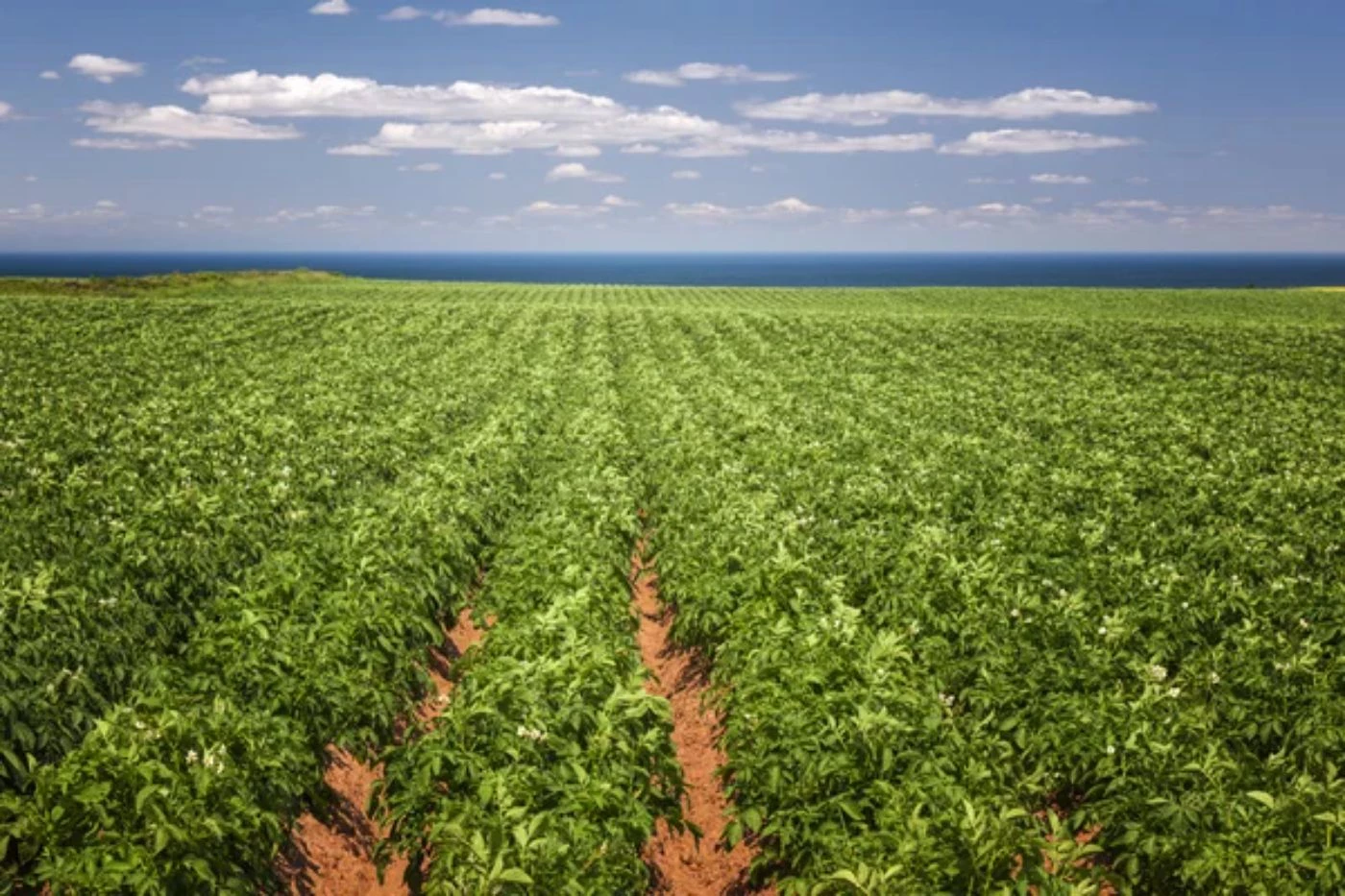 How Much Money Can You Make Farming 100 Acres? - 🐝 BootstrapBee.com ...