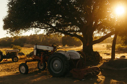Best Tractors for Smallholding UK (Consider This) - 🐝 BootstrapBee.com - Actionable ...