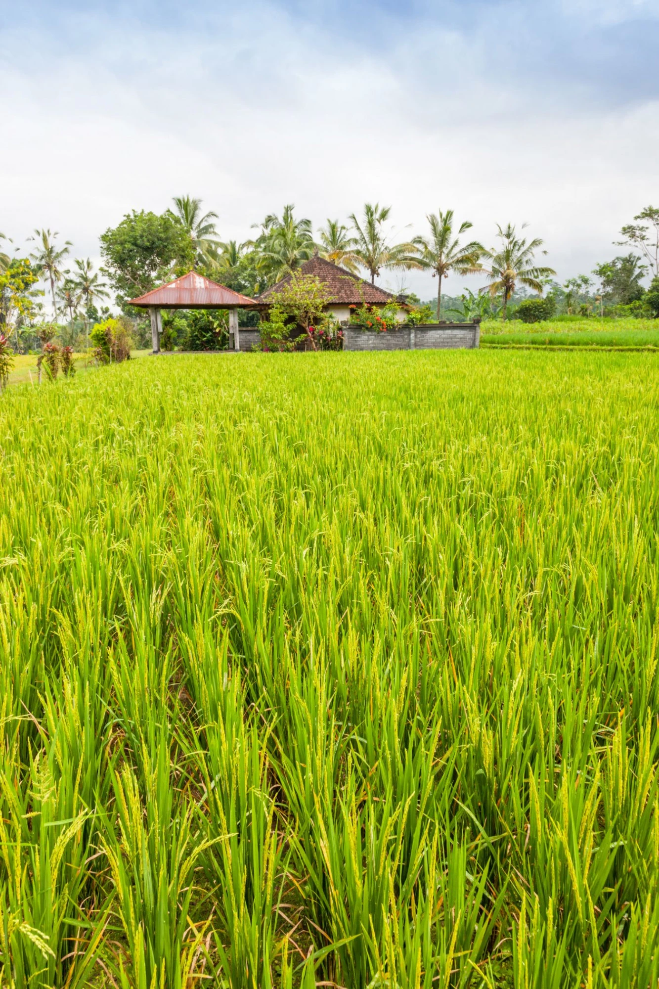 Smallholding Permitted Development Rights Explained - 🐝 BootstrapBee.com - Actionable ...