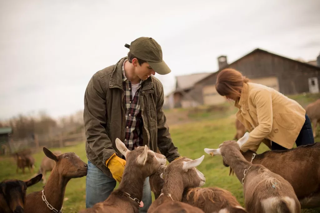 Smallholding Permitted Development Rights Explained - 🐝 BootstrapBee ...