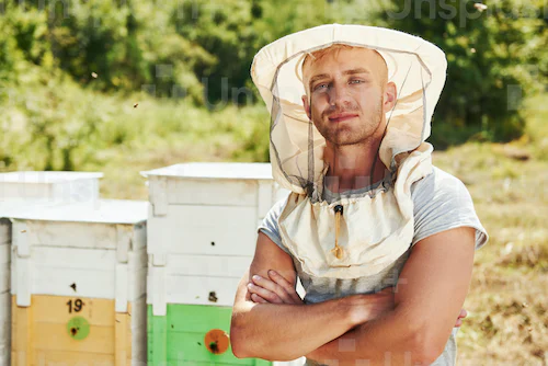 Advantages Of a Double Brood Box Explained (Pros & Cons) - 🐝 BootstrapBee.com - Actionable ...