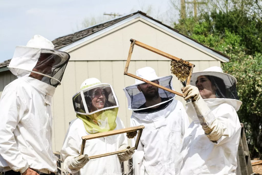 Beekeeper Education Requirements - Know This Before You Start - 🐝 ...