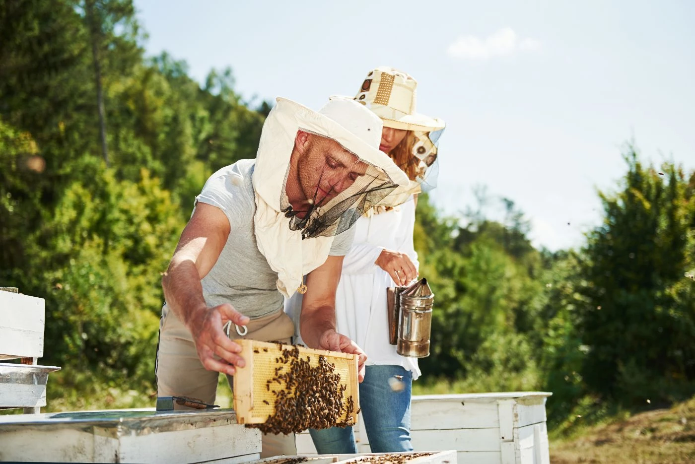 How Many Frames of Bees To Overwinter Successfully? - 🐝 BootstrapBee.com - Actionable ...