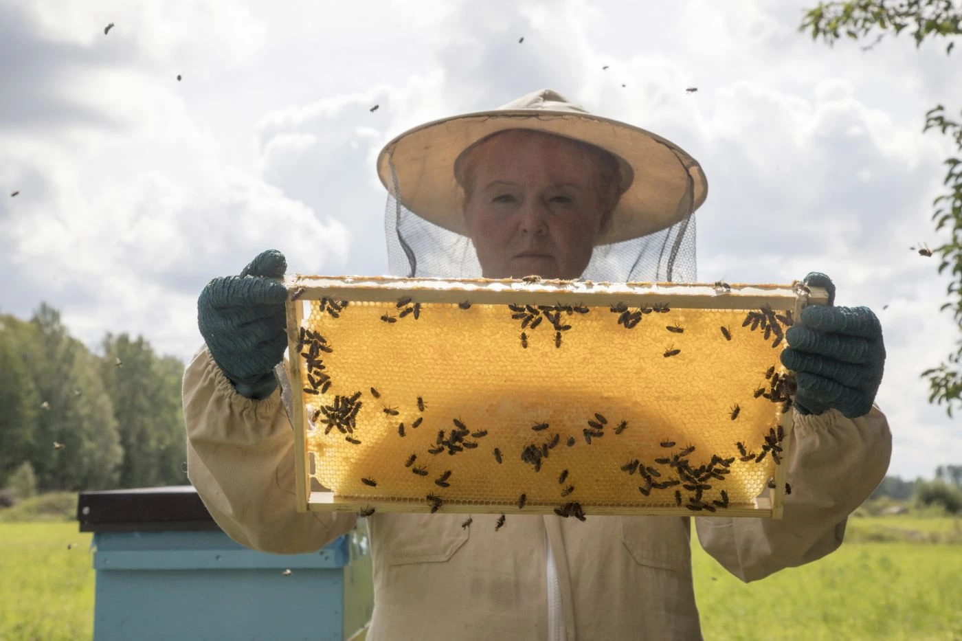 The Ultimate Guide To Beekeeping in Hot Weather - 🐝 BootstrapBee.com - Actionable bootstrapping ...