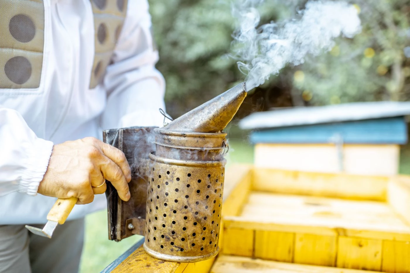 The Ultimate Guide To Beekeeping in Hot Weather - 🐝 BootstrapBee.com - Actionable bootstrapping ...