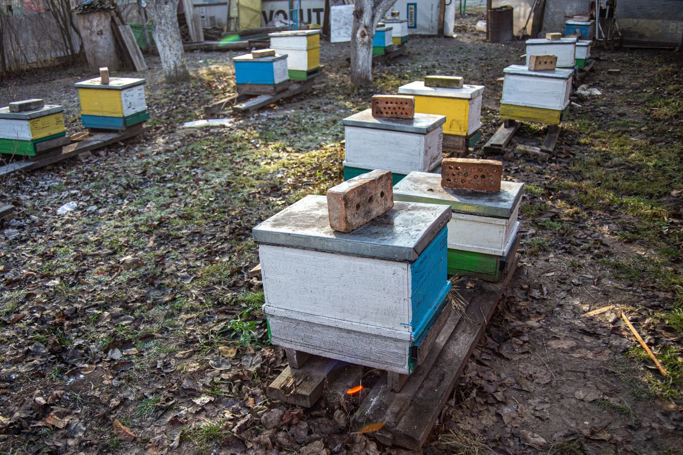 The Ultimate Guide To Beekeeping in Winter & Cold Climates - 🐝 ...