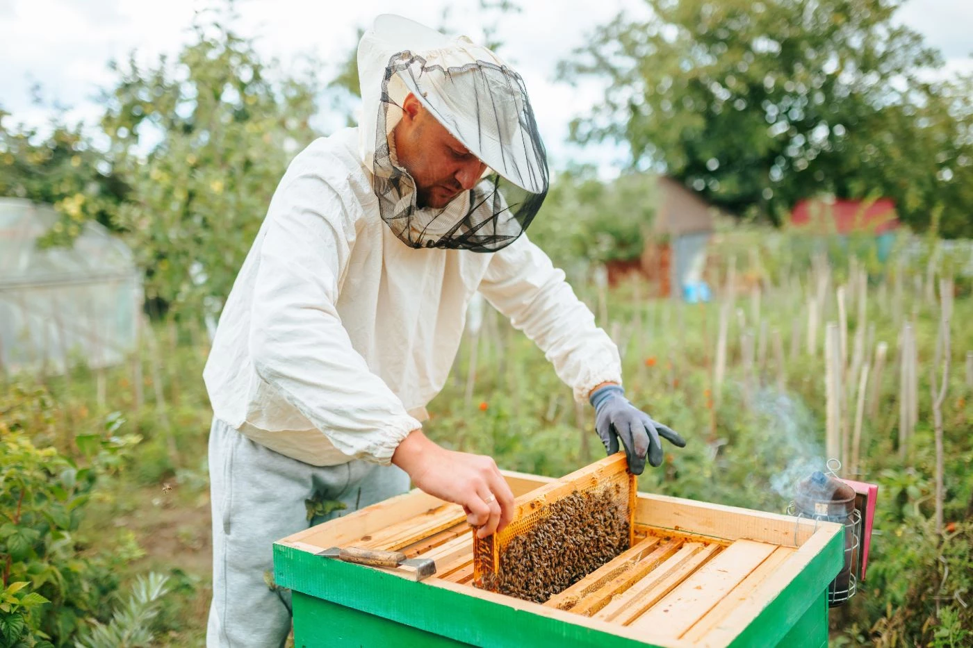 When & How To Wrap Beehives for Winter: 7 Expert Tips - 🐝 BootstrapBee.com - Actionable ...