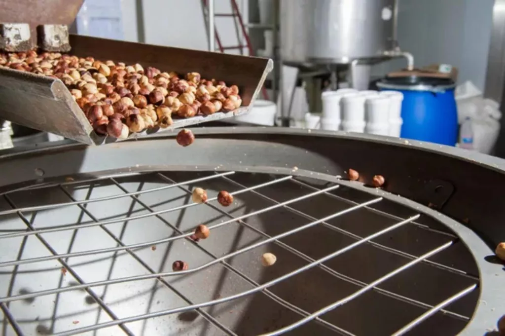 The Top 10 Largest Producer of Hazelnuts - 🐝 BootstrapBee.com - Actionable bootstrapping guides