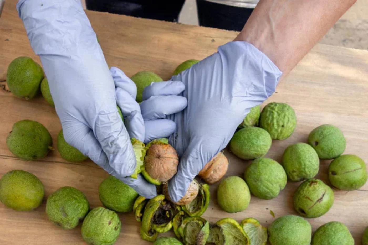 Which Country Leads the World in Walnut Production? - 🐝 BootstrapBee ...