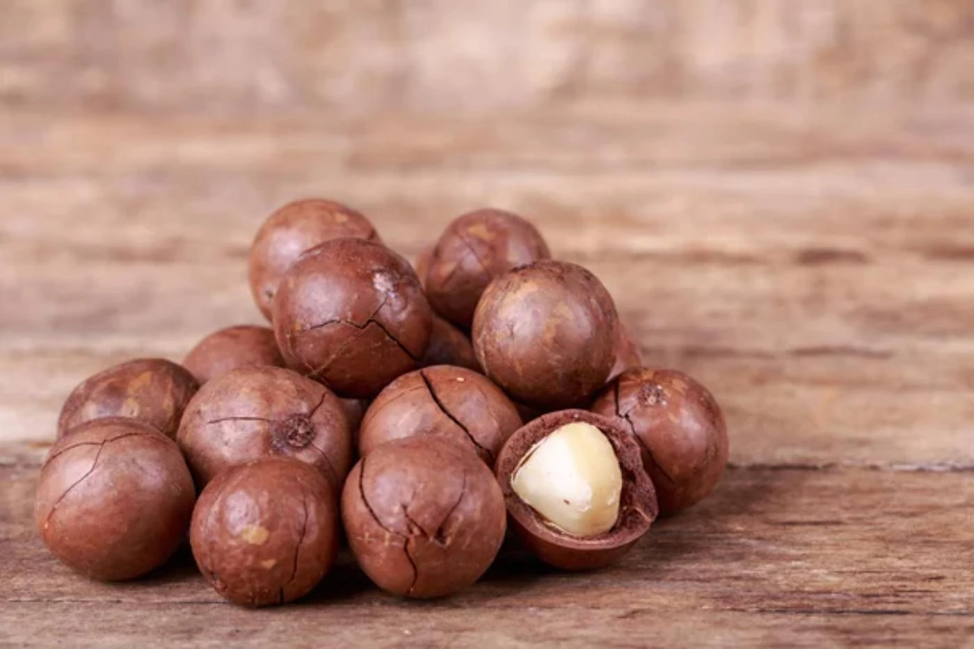 How Many Nuts Does a Macadamia Tree Produce? (In KG & Lbs) - 🐝 BootstrapBee.com - Actionable ...