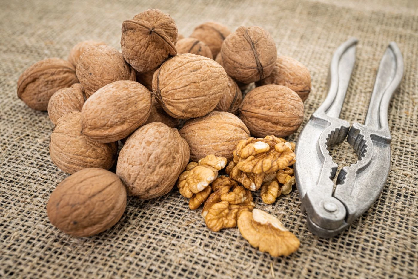 How Profitable Is a Walnut Farm in 2023? (Detailed Breakdown) - 🐝 BootstrapBee.com - Actionable ...