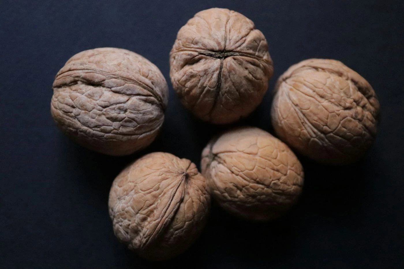 When Do Walnut Trees Produce Nuts? (What Time of Year) - 🐝 BootstrapBee.com - Actionable ...