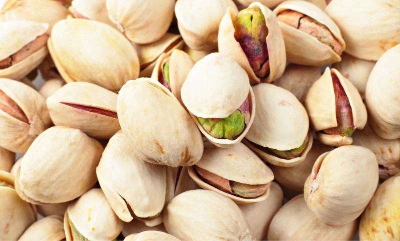 Where Do Pistachio Trees Grow? (Best Growing Zone) - 🐝 BootstrapBee.com ...